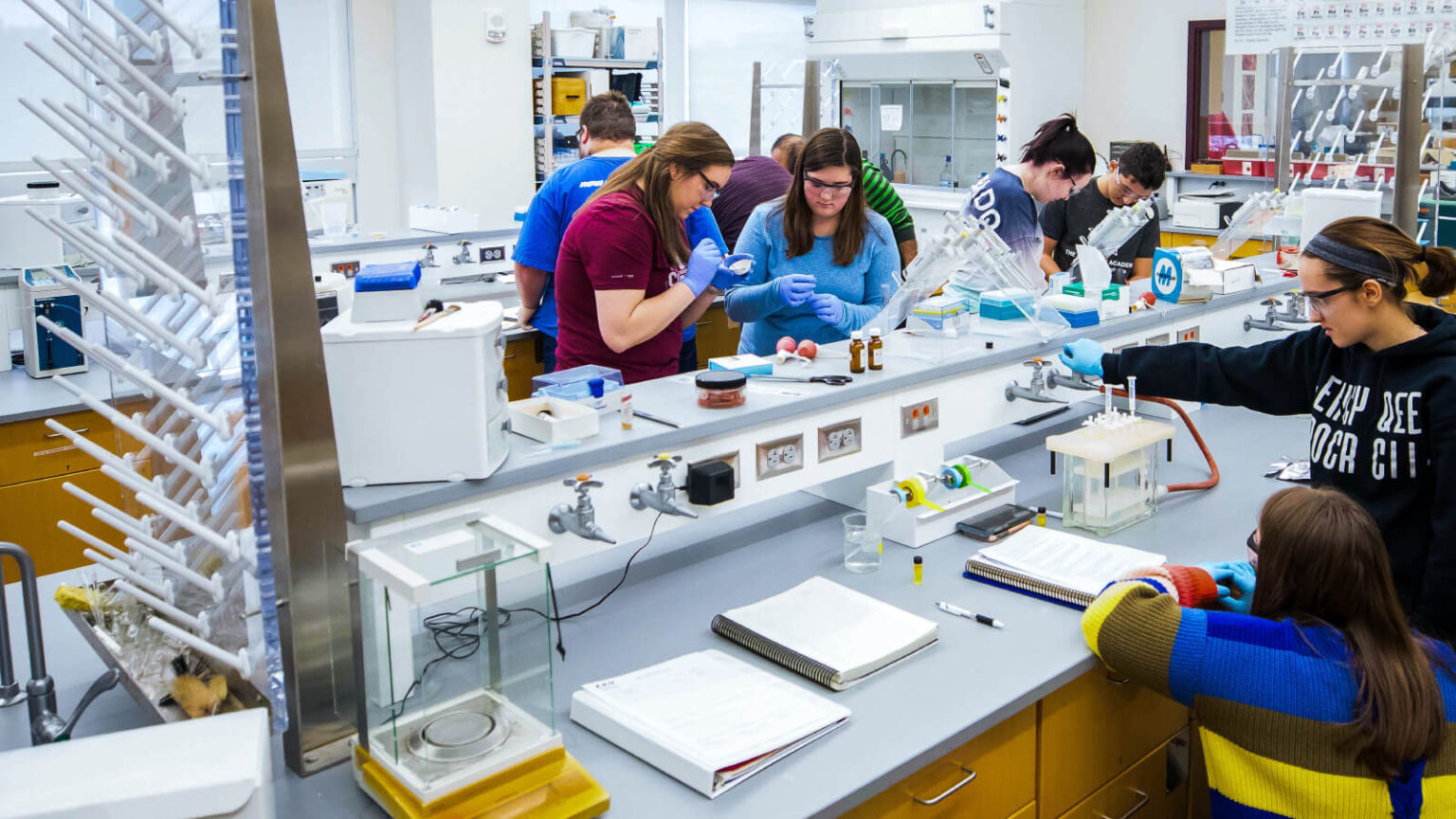 College of Science, Technology, Engineering & Mathematics - Eastern ...