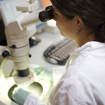 STEM START – Eastern Kentucky University